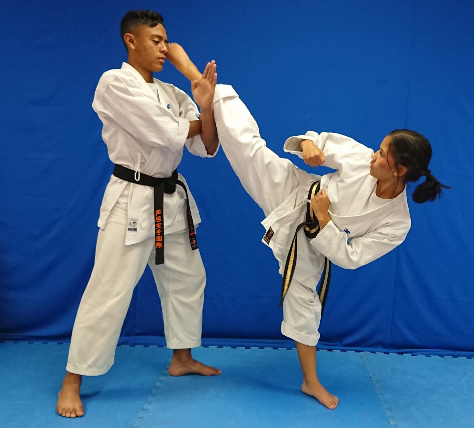 Home - Ashihara Karate International